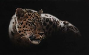 Original Drawings and paintings - Wildlife Fine Art Drawings
