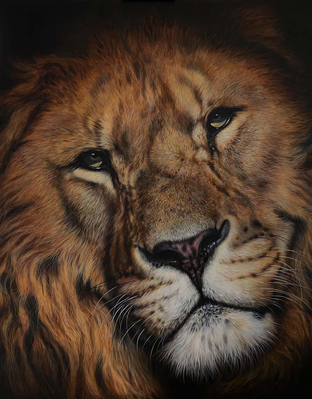 Original Drawings and paintings - Wildlife Fine Art Drawings